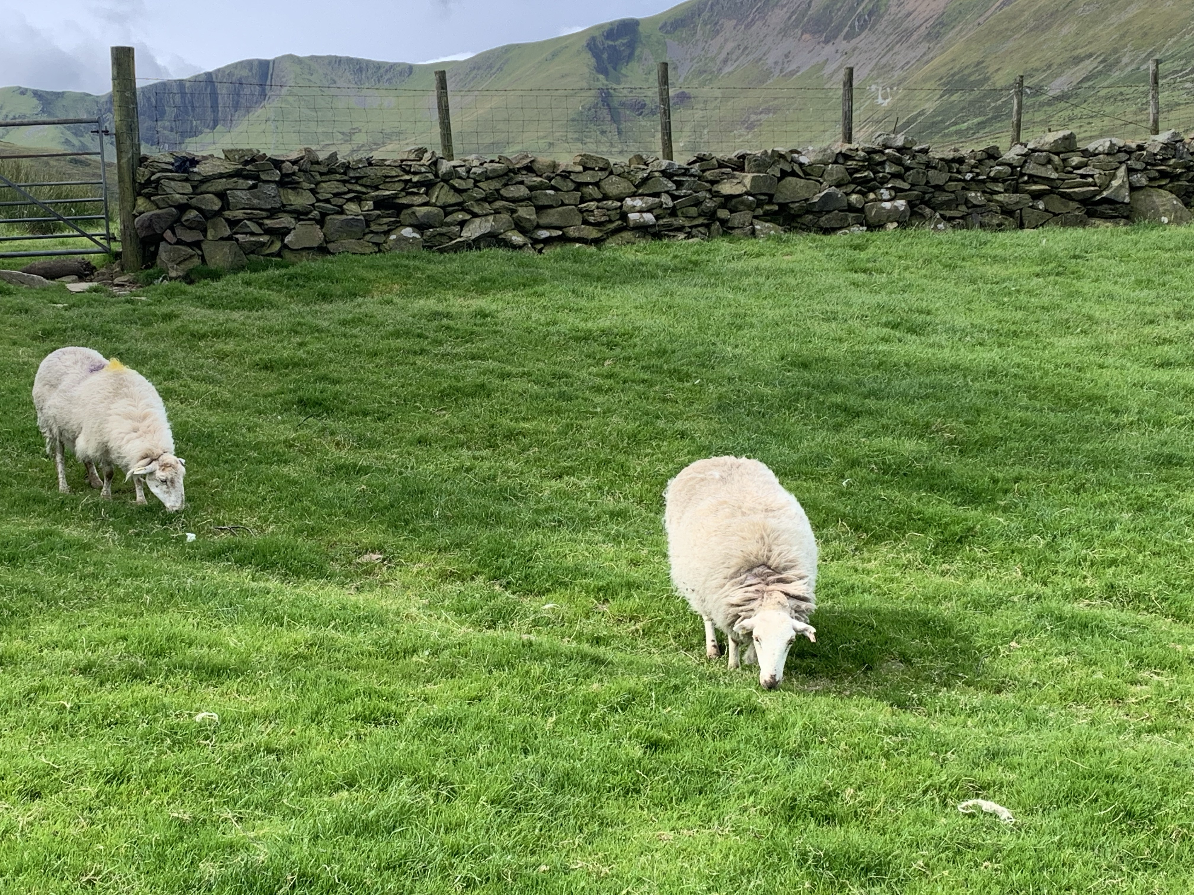 Snowdonia, four seasons in one climb and a case of jelly legs – Work ...